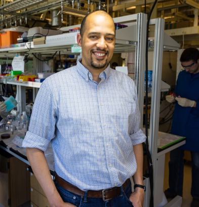 Fikile Brushett named director of Chemical Engineering Practice School ...